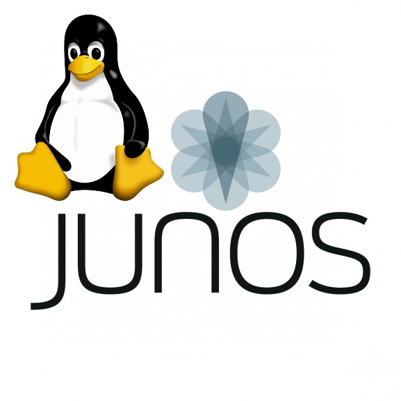 Next Level Functionality Comes to JunOS | Terabit Systems